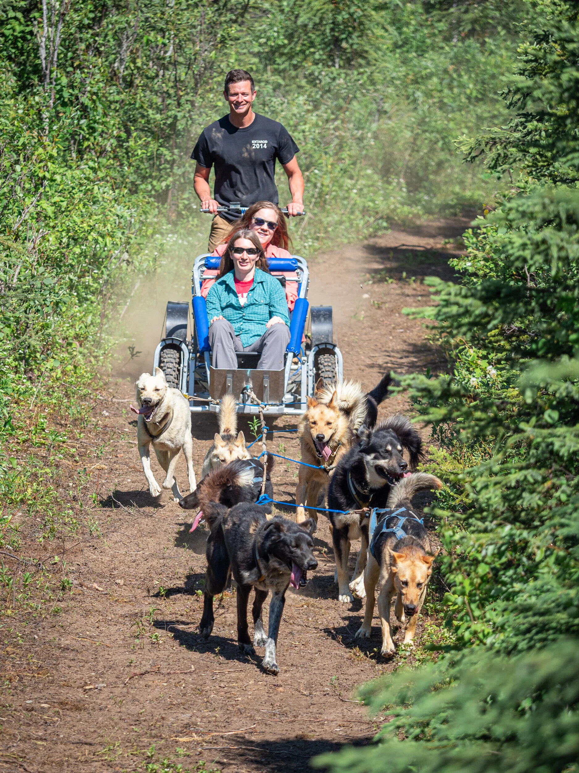 Dogsled Rides — Alaskan Husky Adventures