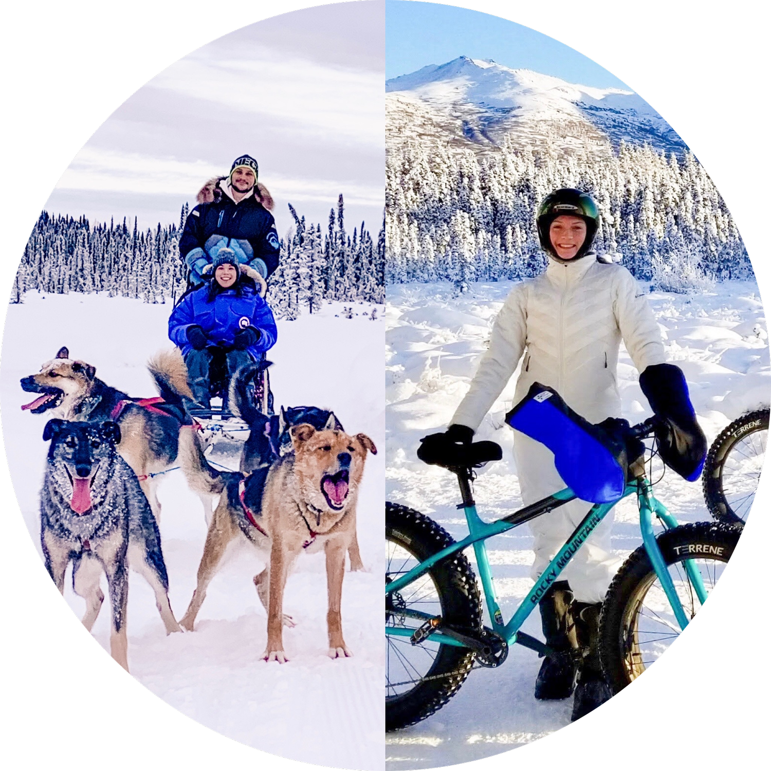 Winter — Alaskan Husky Adventures
