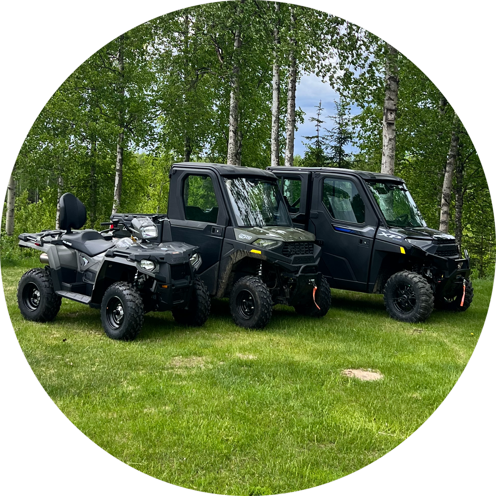 Summer — Alaskan Husky Adventures