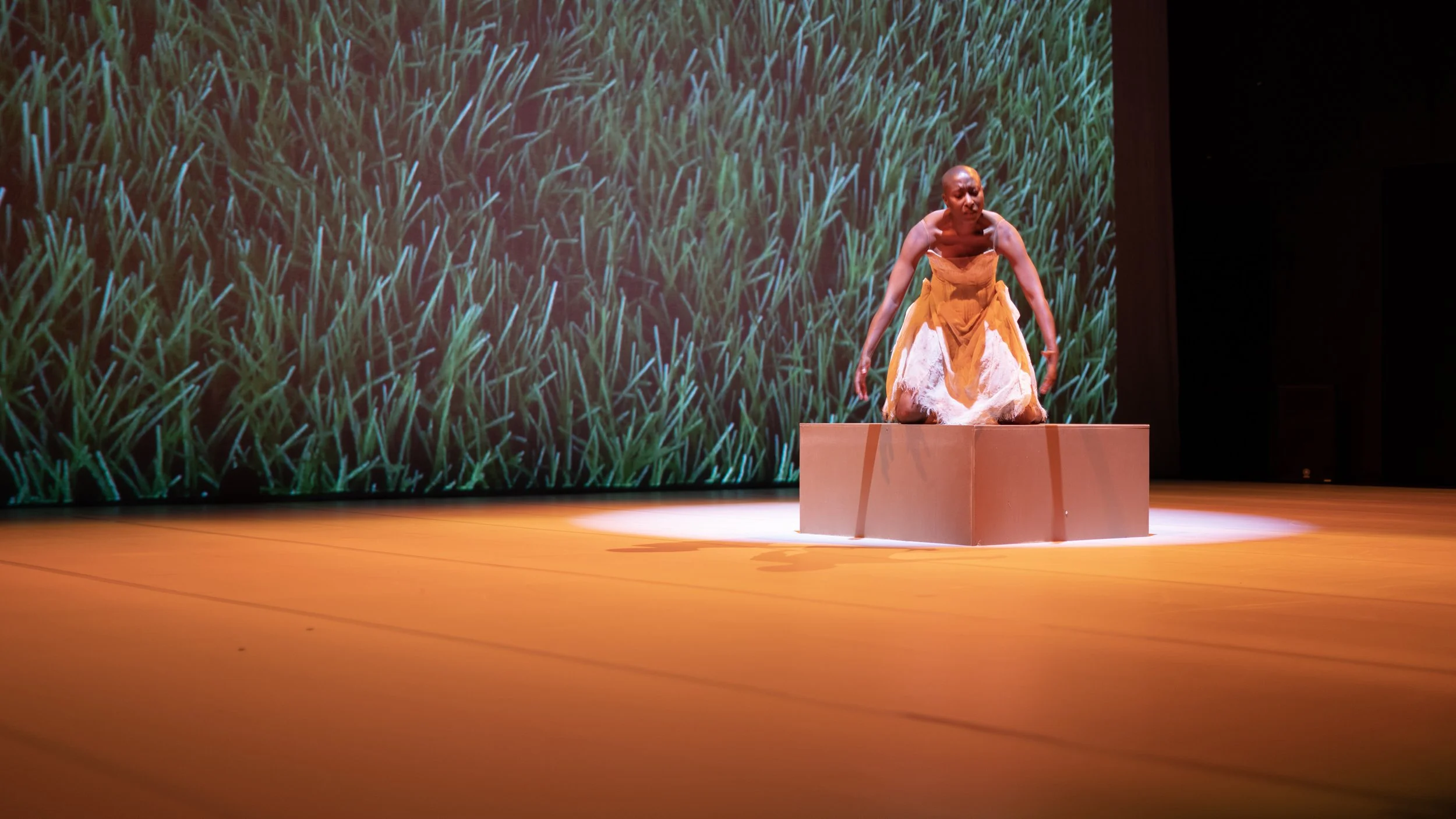 choreographer — jade solomon