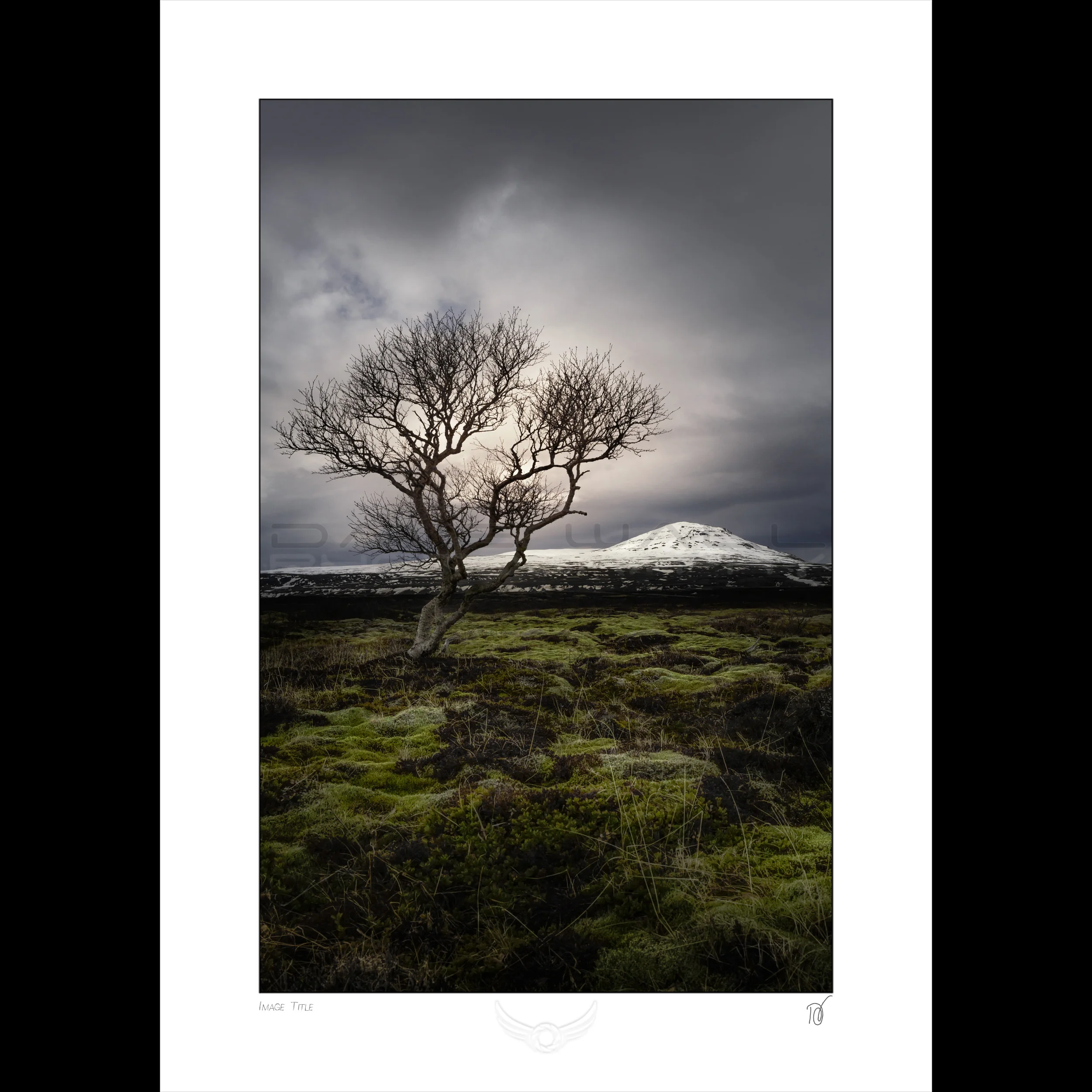 Prints Fine Art Photography Landscape Photography Nature Photography ...