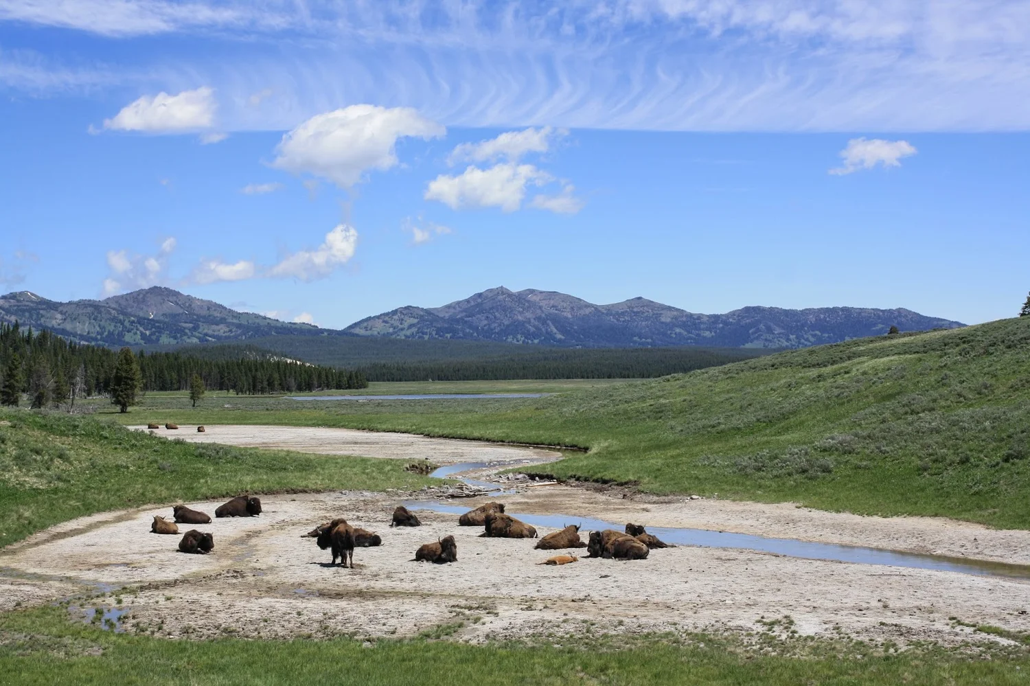 Going West: Yellowstone and Grand Teton National Parks — The Walkers Abroad