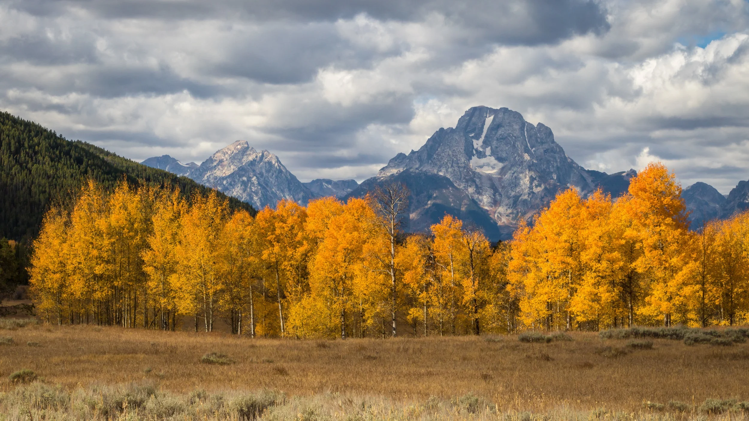 Arbor Works Tree Service