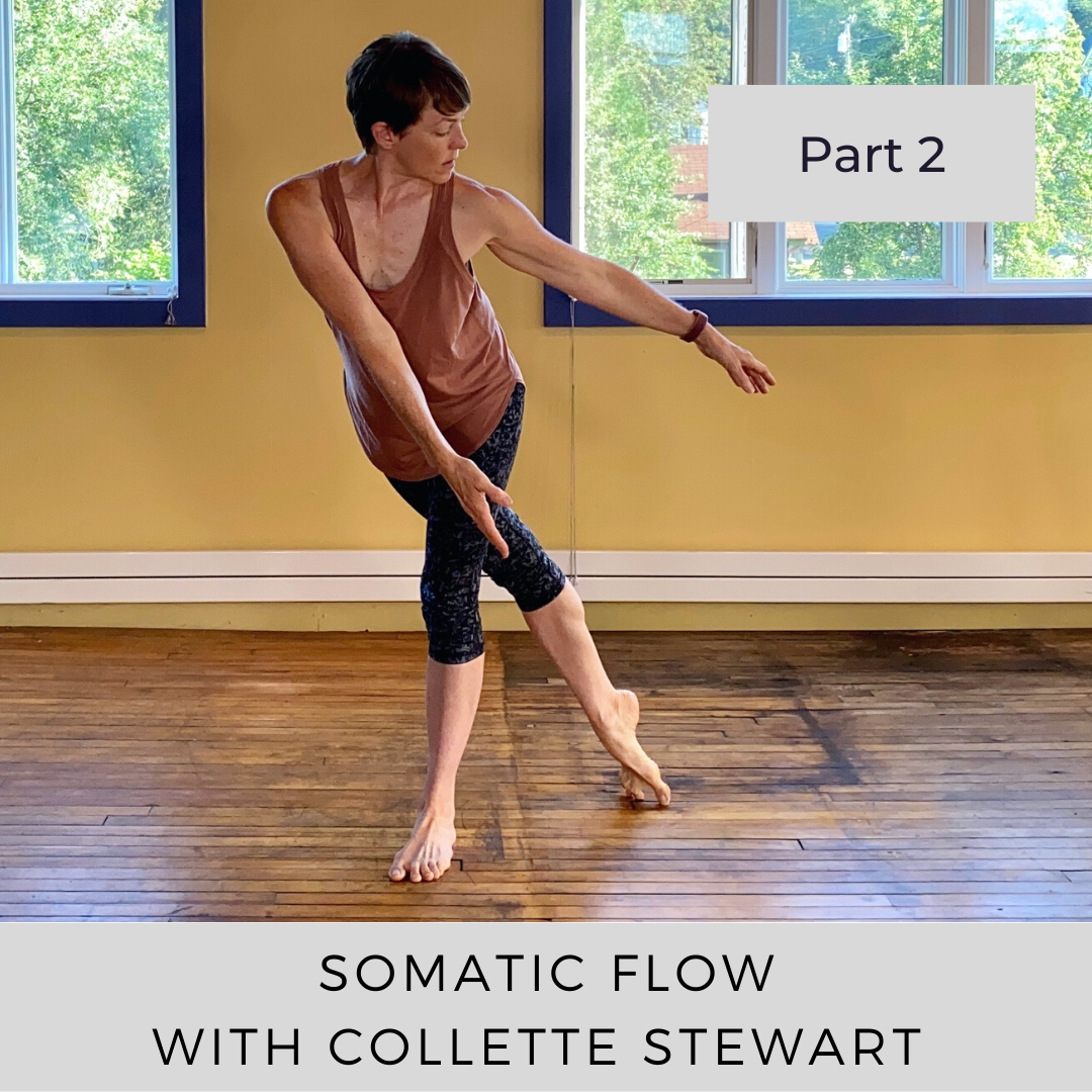 about - pilates on harrison, instructors - pilates on harrison ...