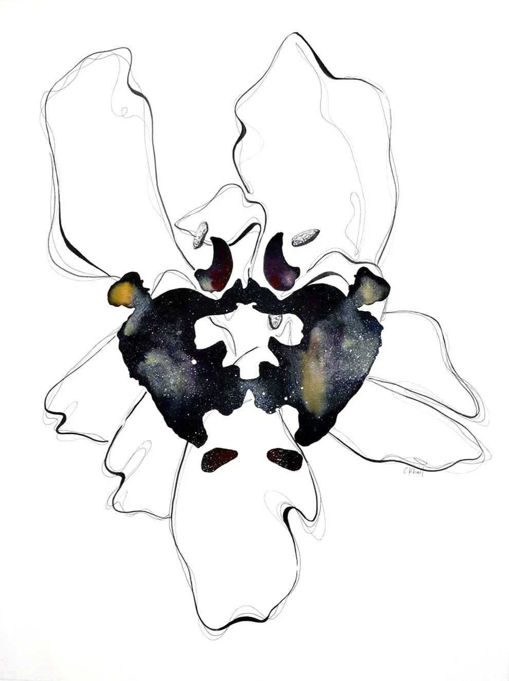 ROARSHOCK — courtney khail