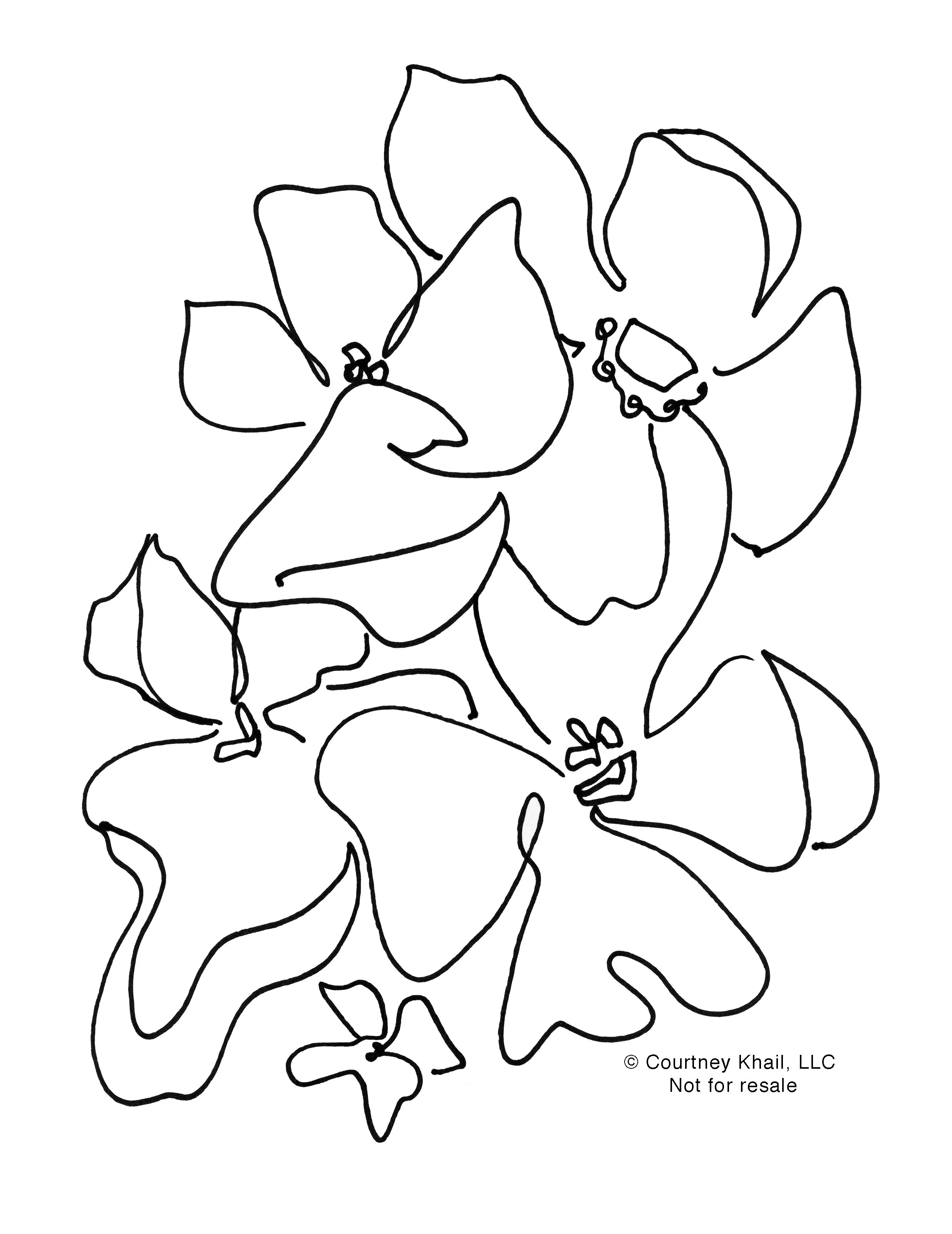 Let's Color. — courtney khail