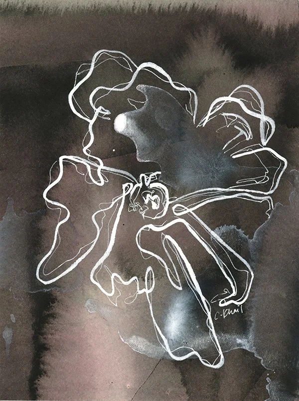 Portfolio — courtney khail