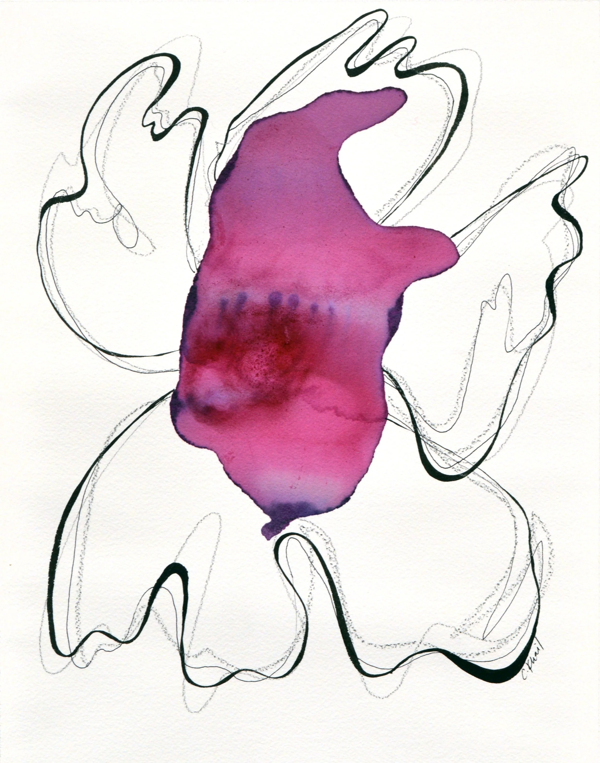 Portfolio — courtney khail