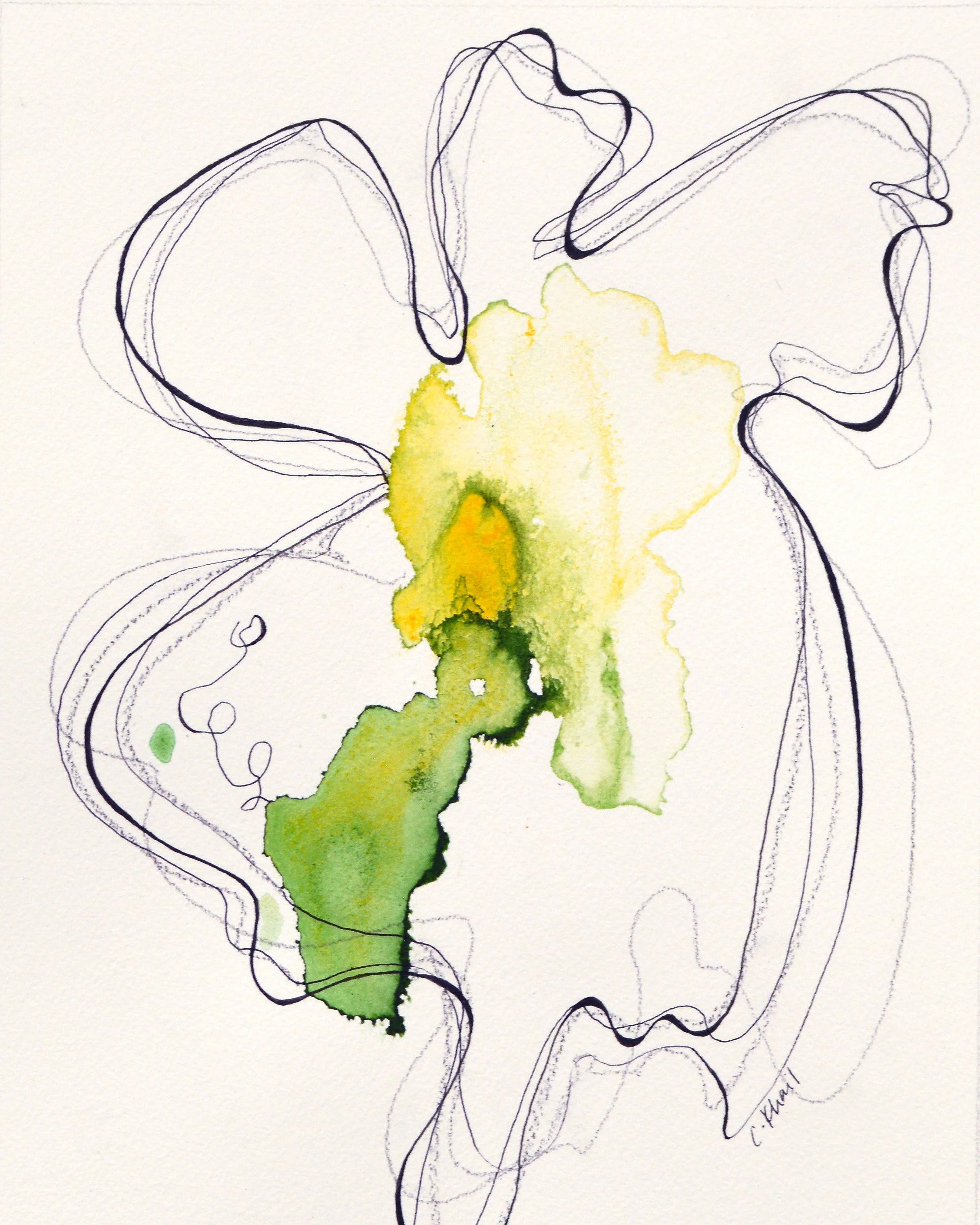 Portfolio — courtney khail