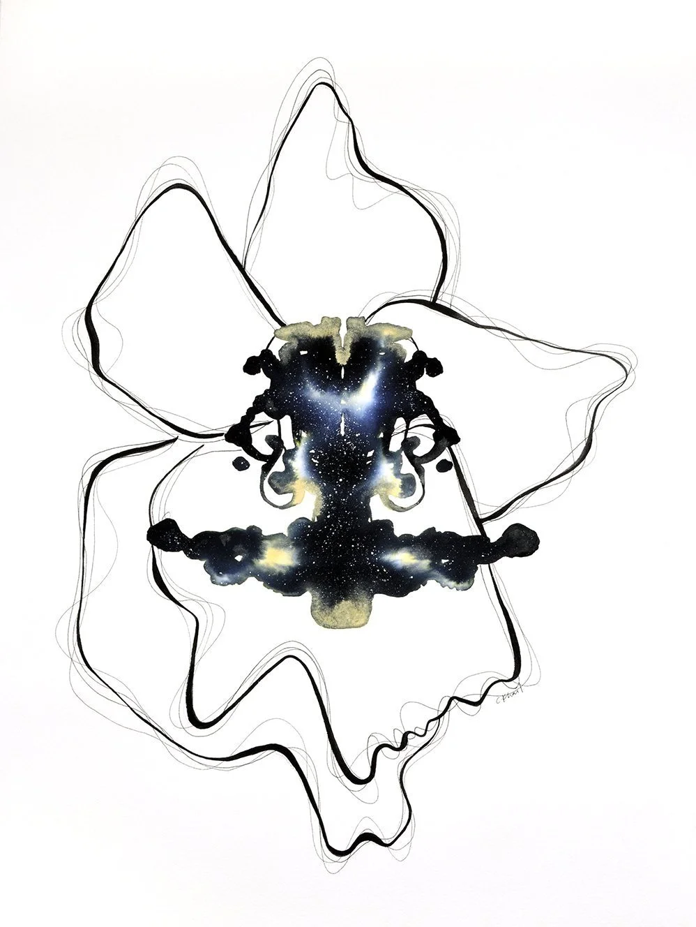 ROARSHOCK — courtney khail