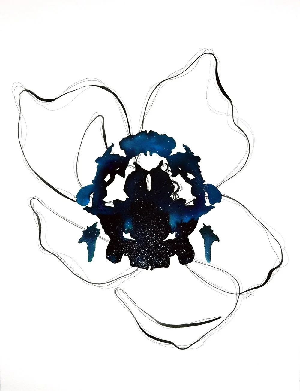 ROARSHOCK — courtney khail