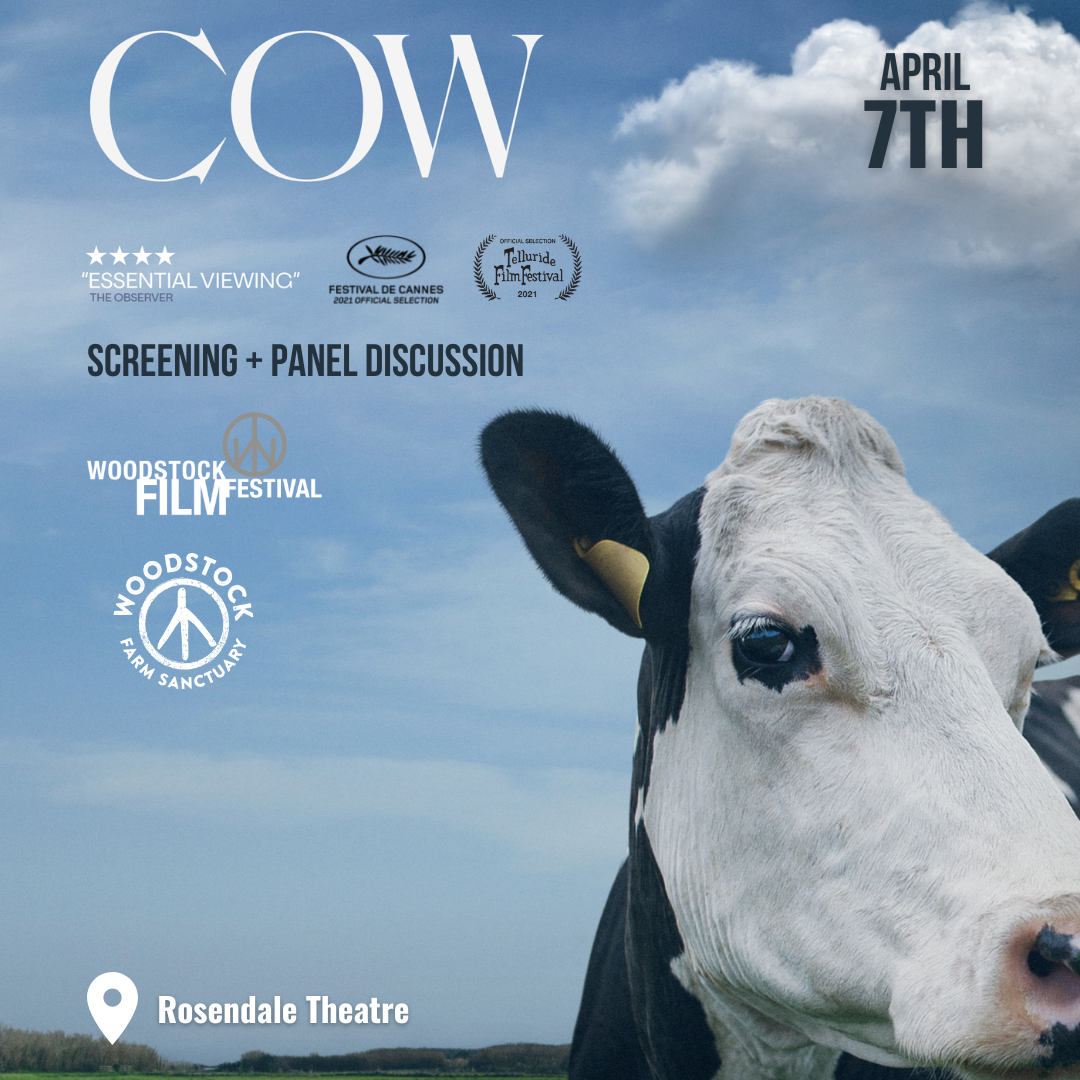 COW Screening + Panel Discussion with Woodstock Farm Sanctuary ...