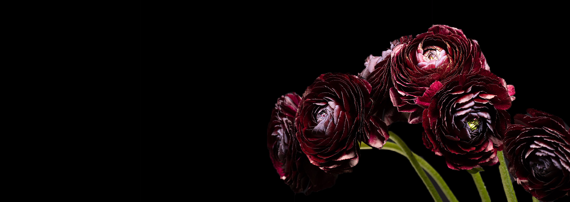 About Us — Birch Event Design