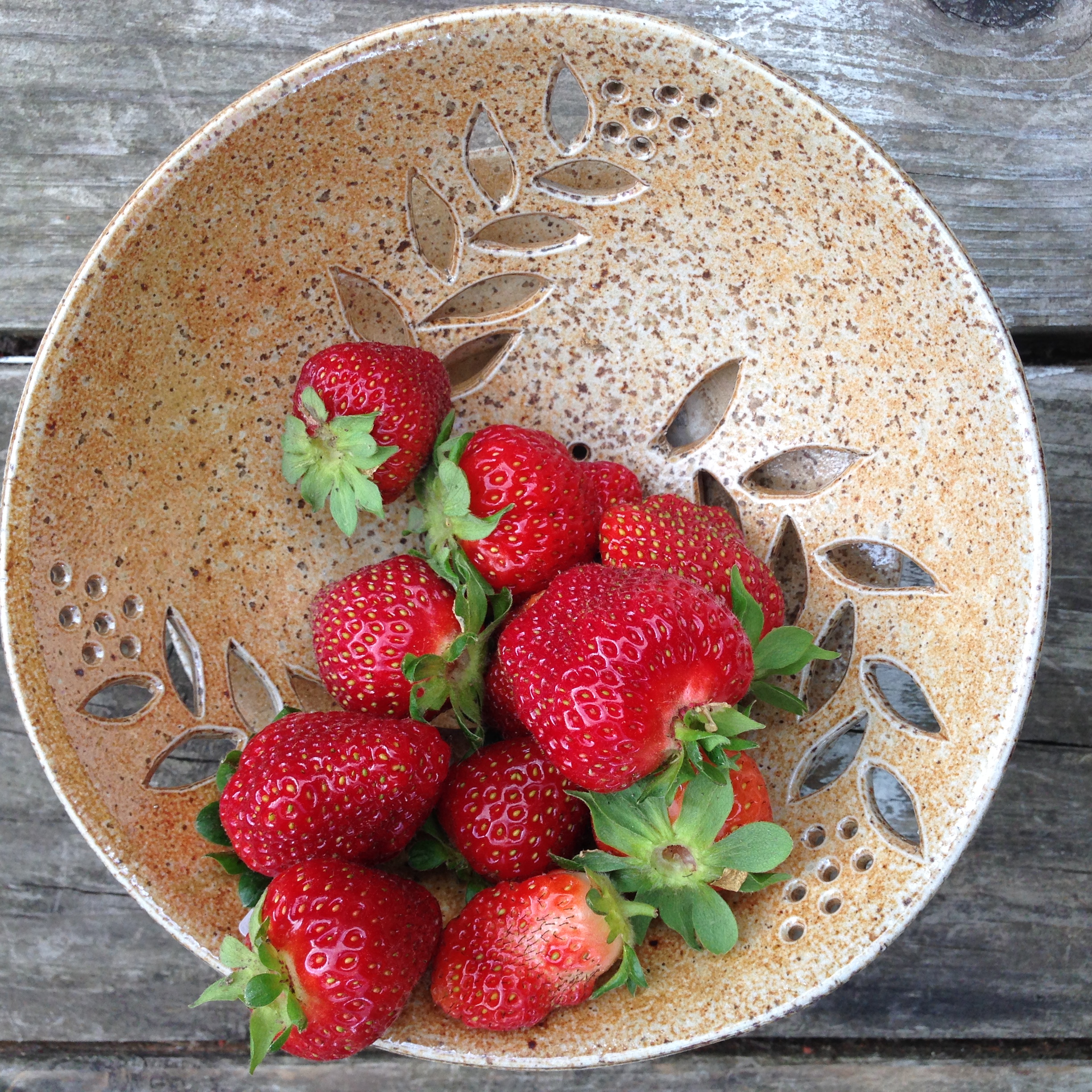 Examples of our Wood Fired Tableware — blue hen pottery