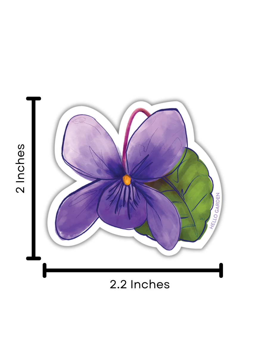 Viola die cut vinyl sticker — Hello Garden