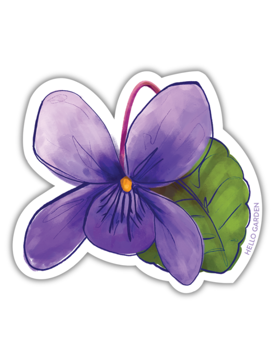 Viola die cut vinyl sticker — Hello Garden