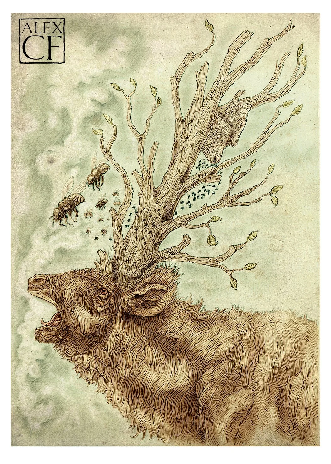 Illustration — The illustrations and books of Alex CF