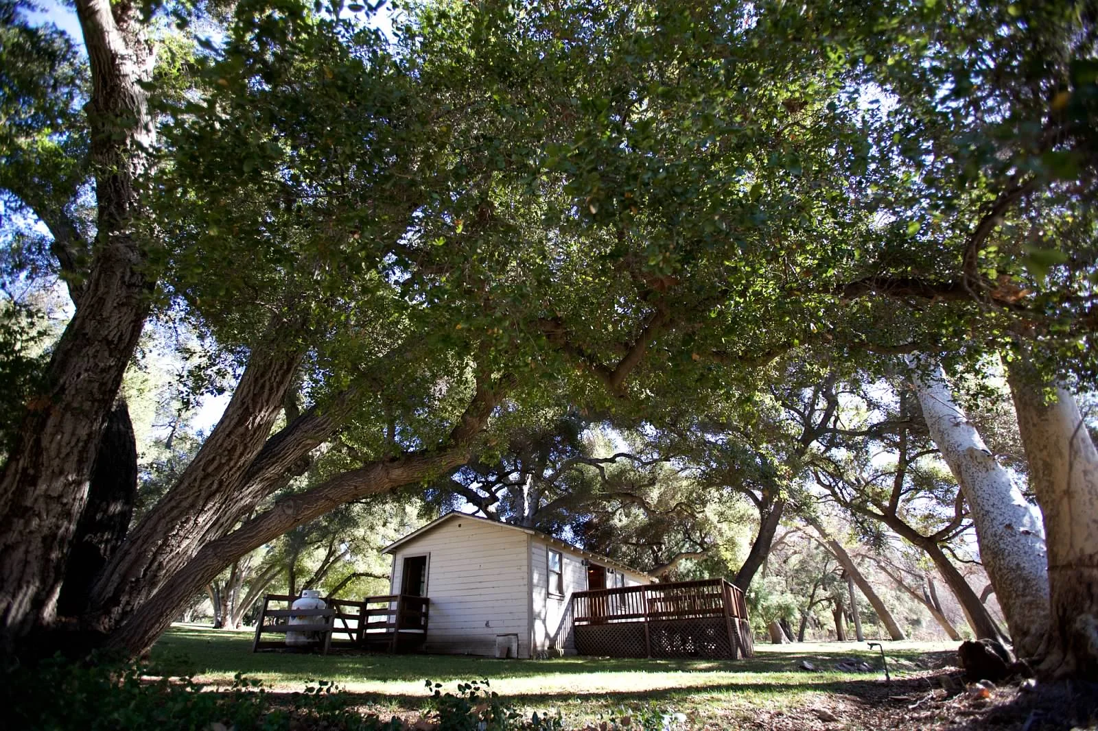 The Ranch — Golden Heart Ranch