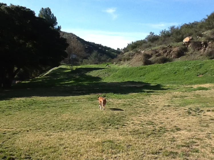 The Ranch — Golden Heart Ranch