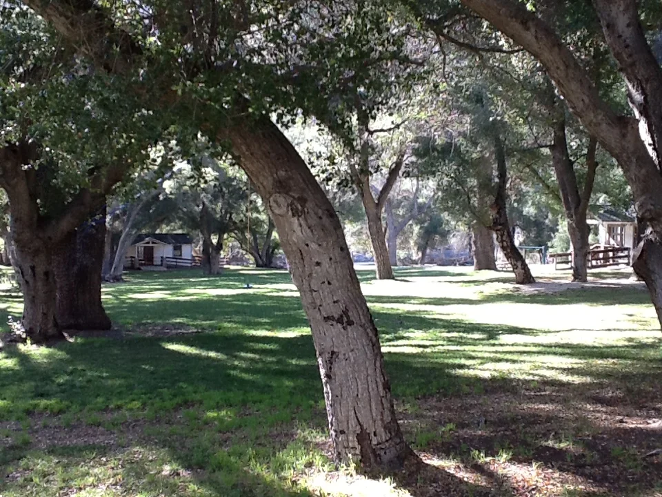 The Ranch — Golden Heart Ranch