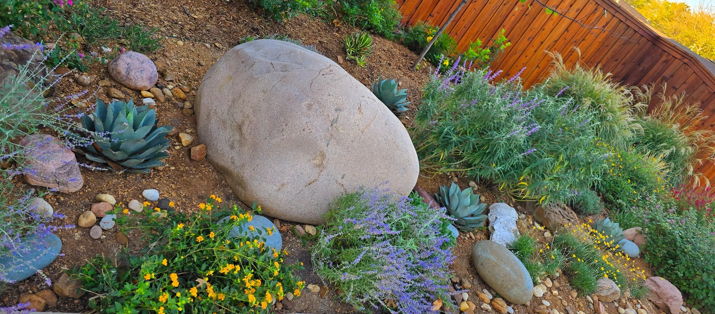 Native Texas Landscape Design Ideas Outdoor Design Ideas With Texas