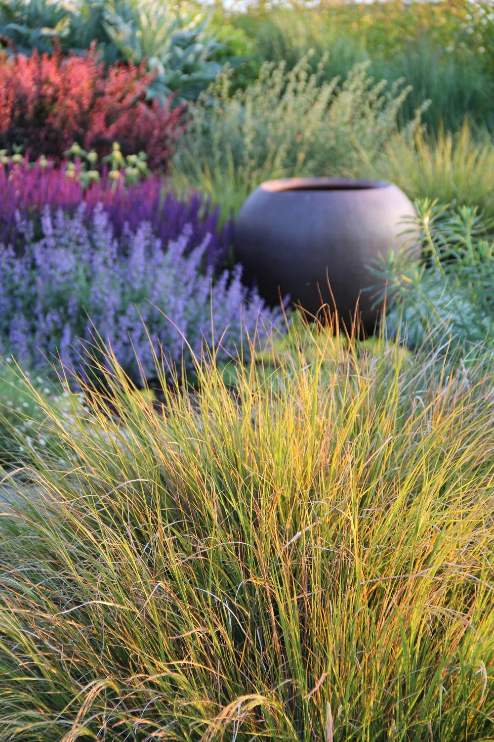 North Texas Drought-Tolerant Low-Maintenance Water-Wise Texas Native ...