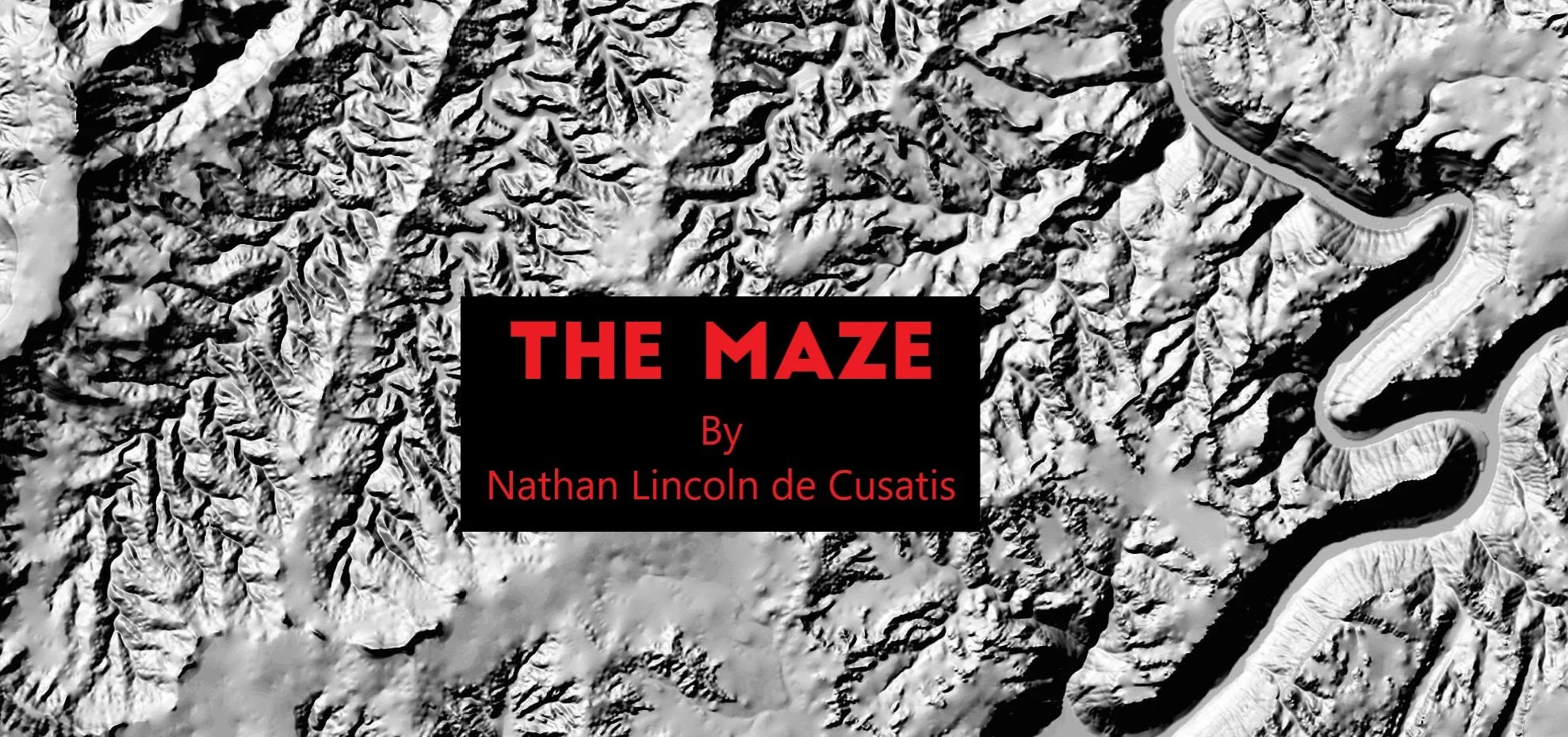 The Maze — Madeline Adkins