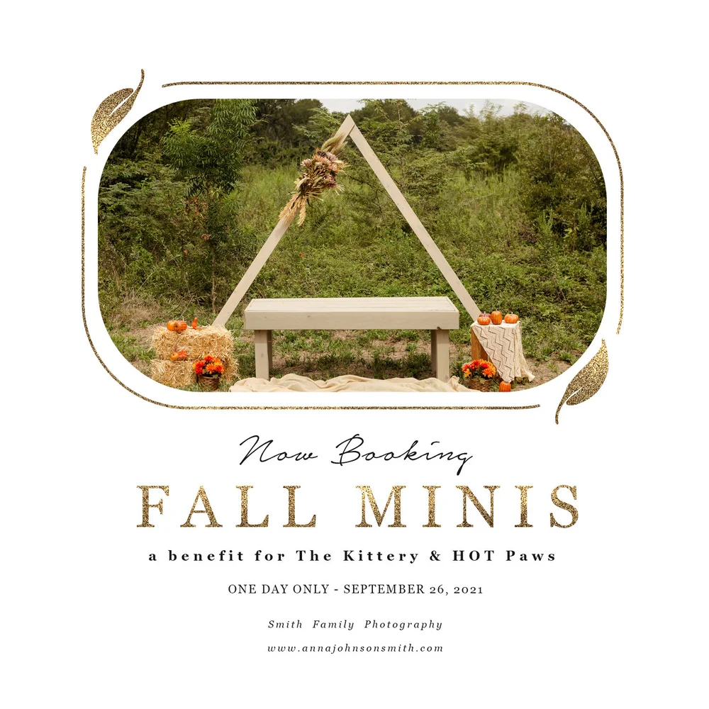 Fall Mini Sessions — Smith Family Photography