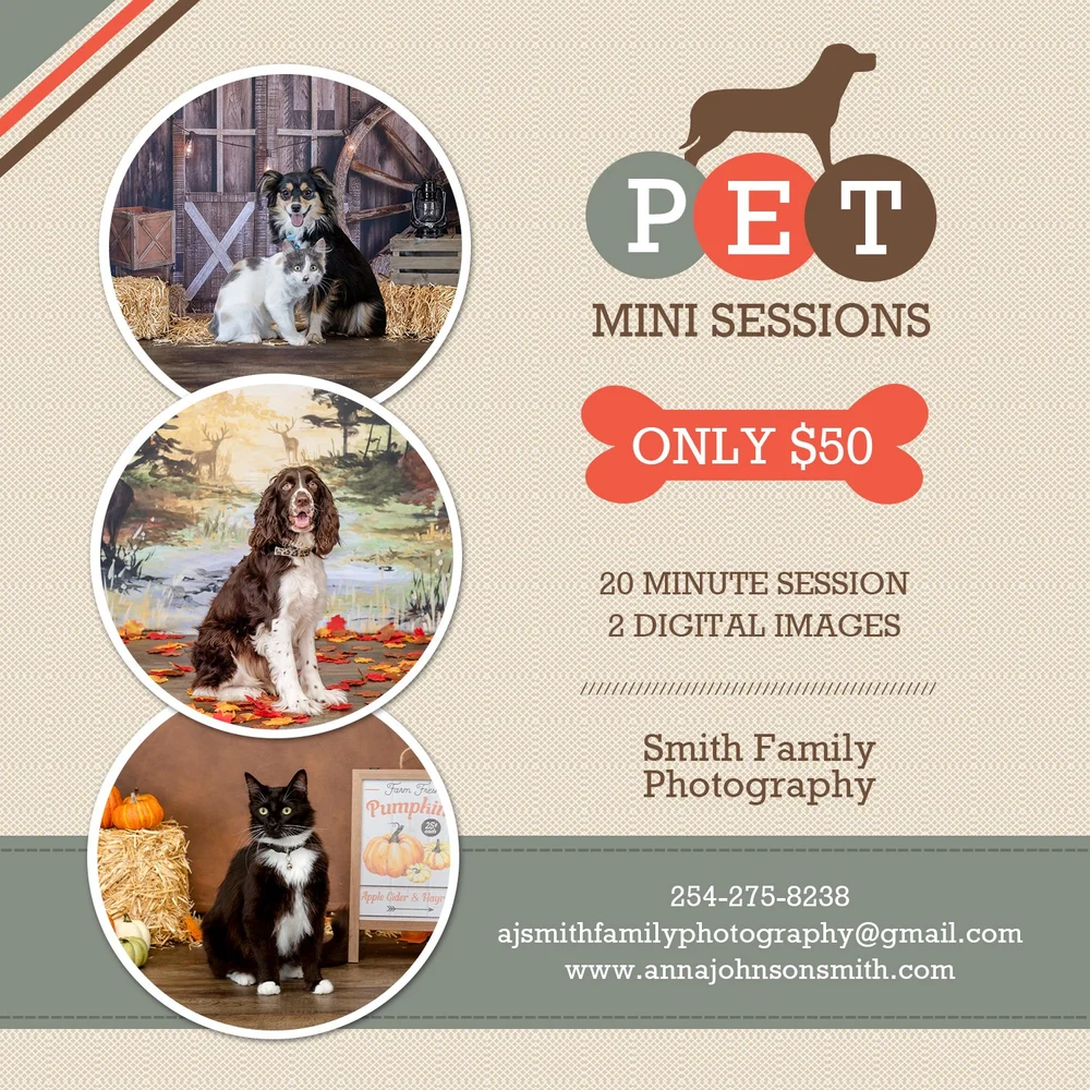 Pet Mini Sessions — Smith Family Photography