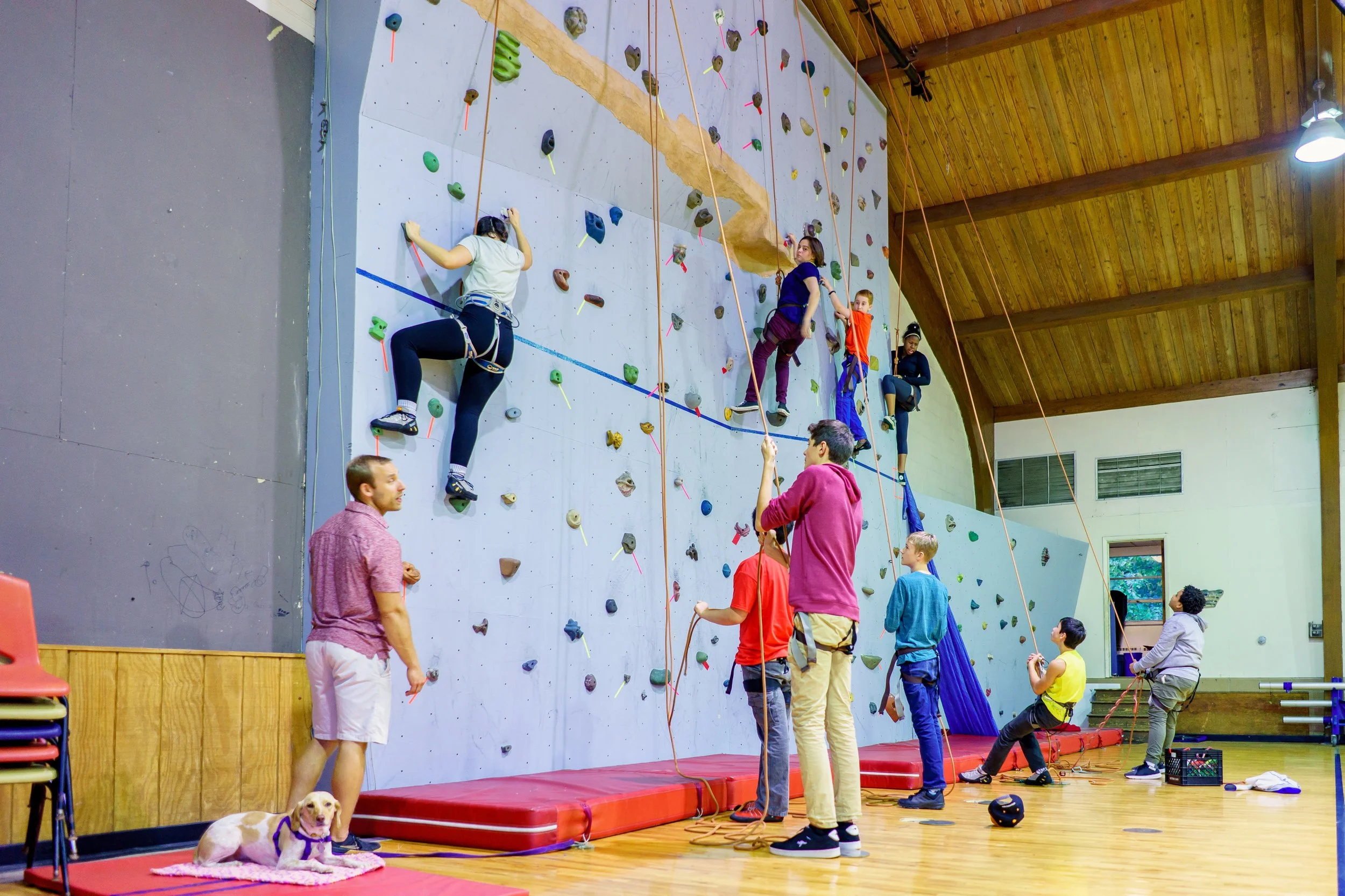 Welcome — The Crefeld School