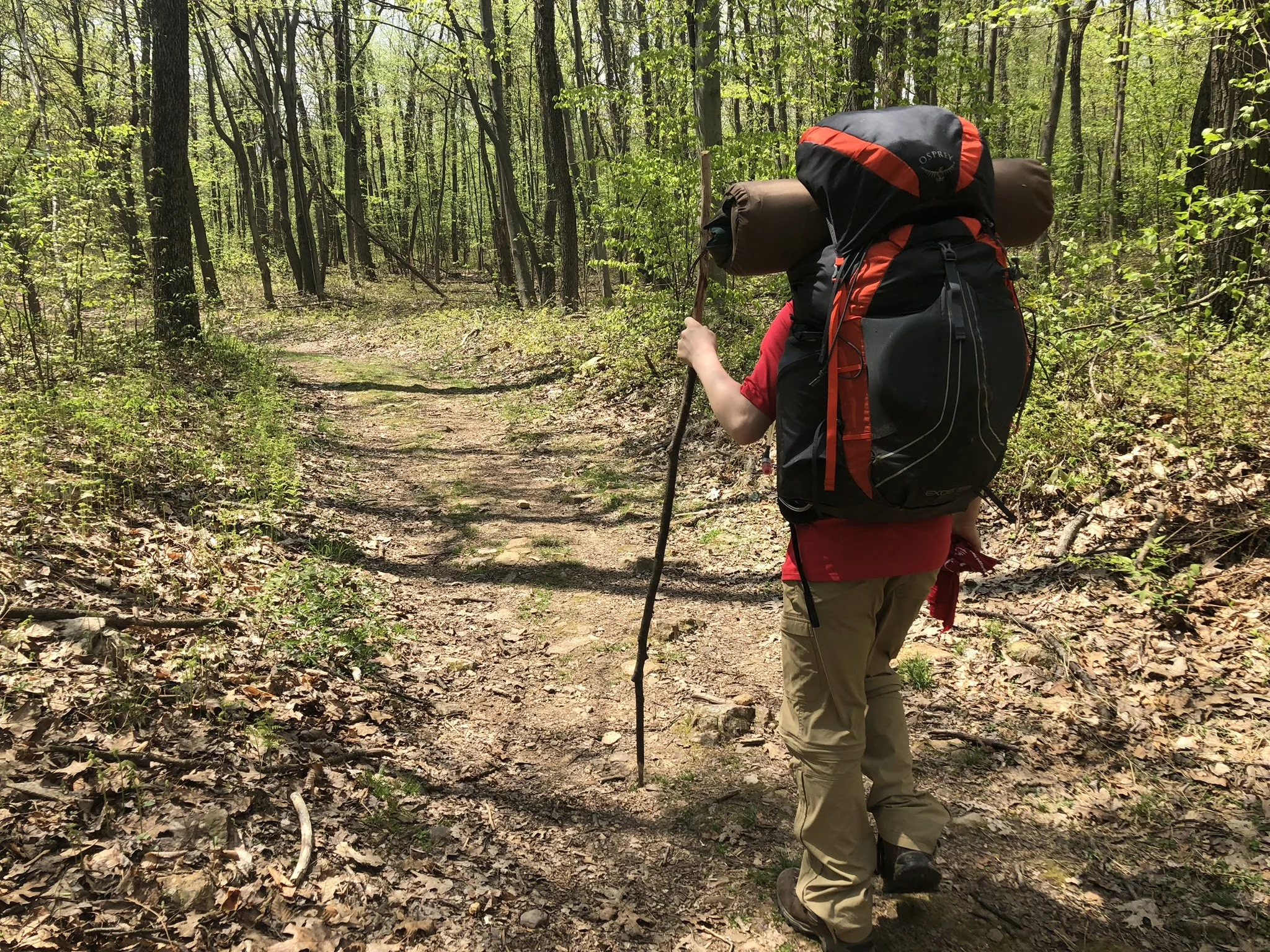 Donate Now — The Crefeld School