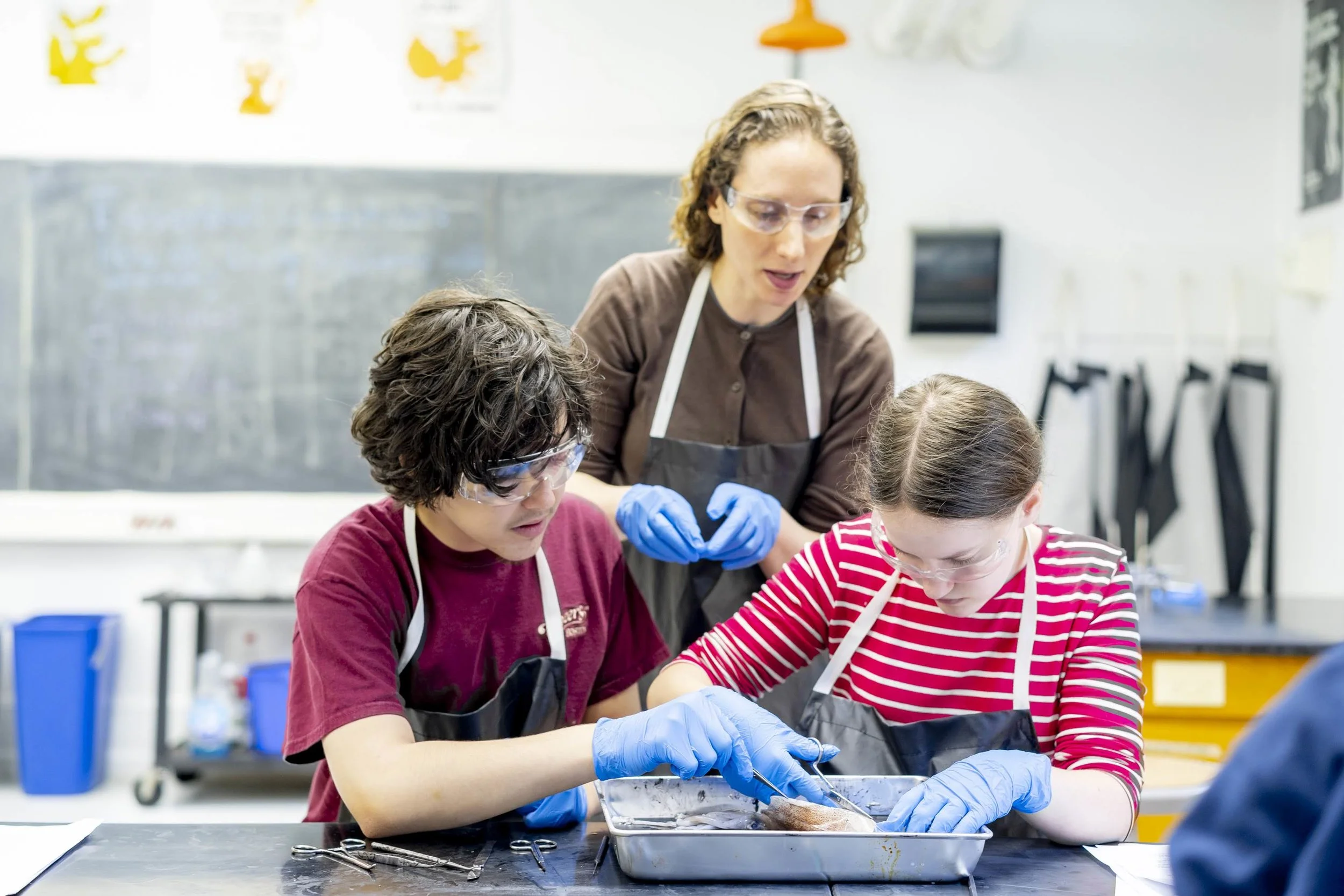 Science — The Crefeld School