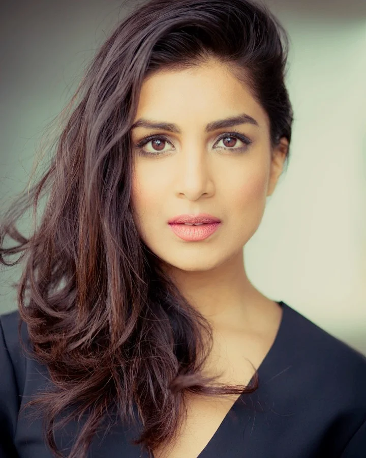 Pallavi Sharda In Saree