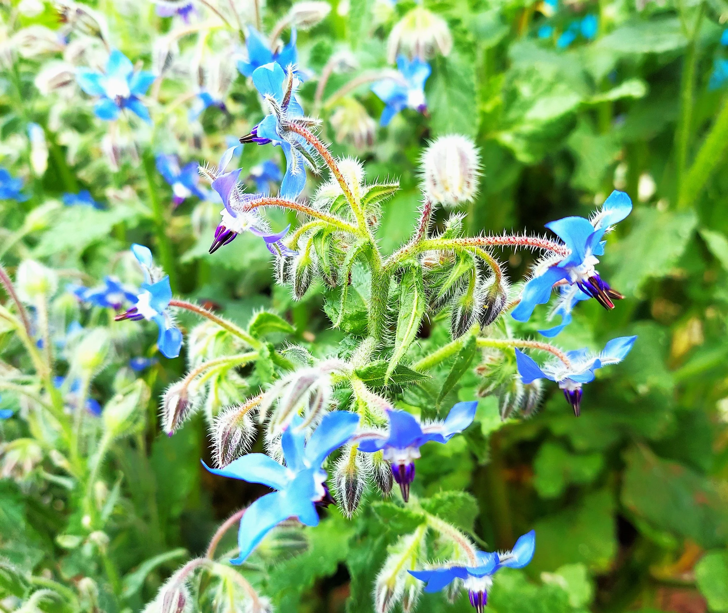 The Temple of the Waters