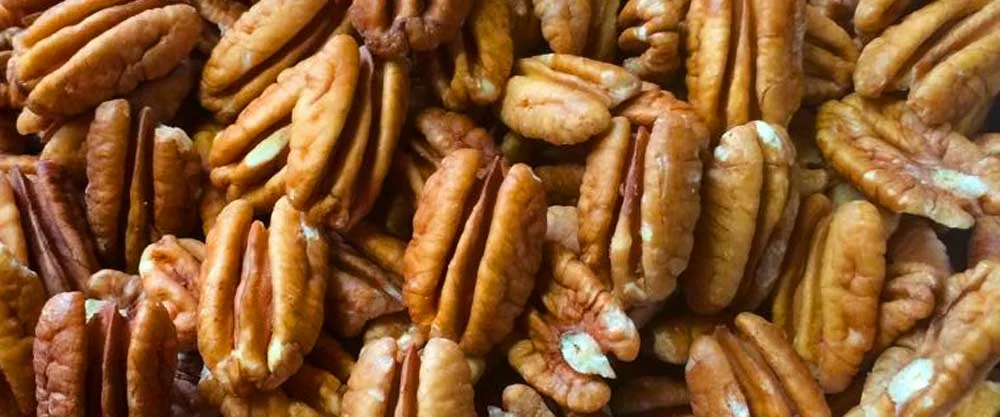 History — The Official Website of the Louisiana Pecan Festival