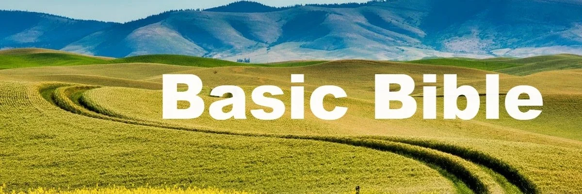 Basic Bible — A N N E C L E E L A N D