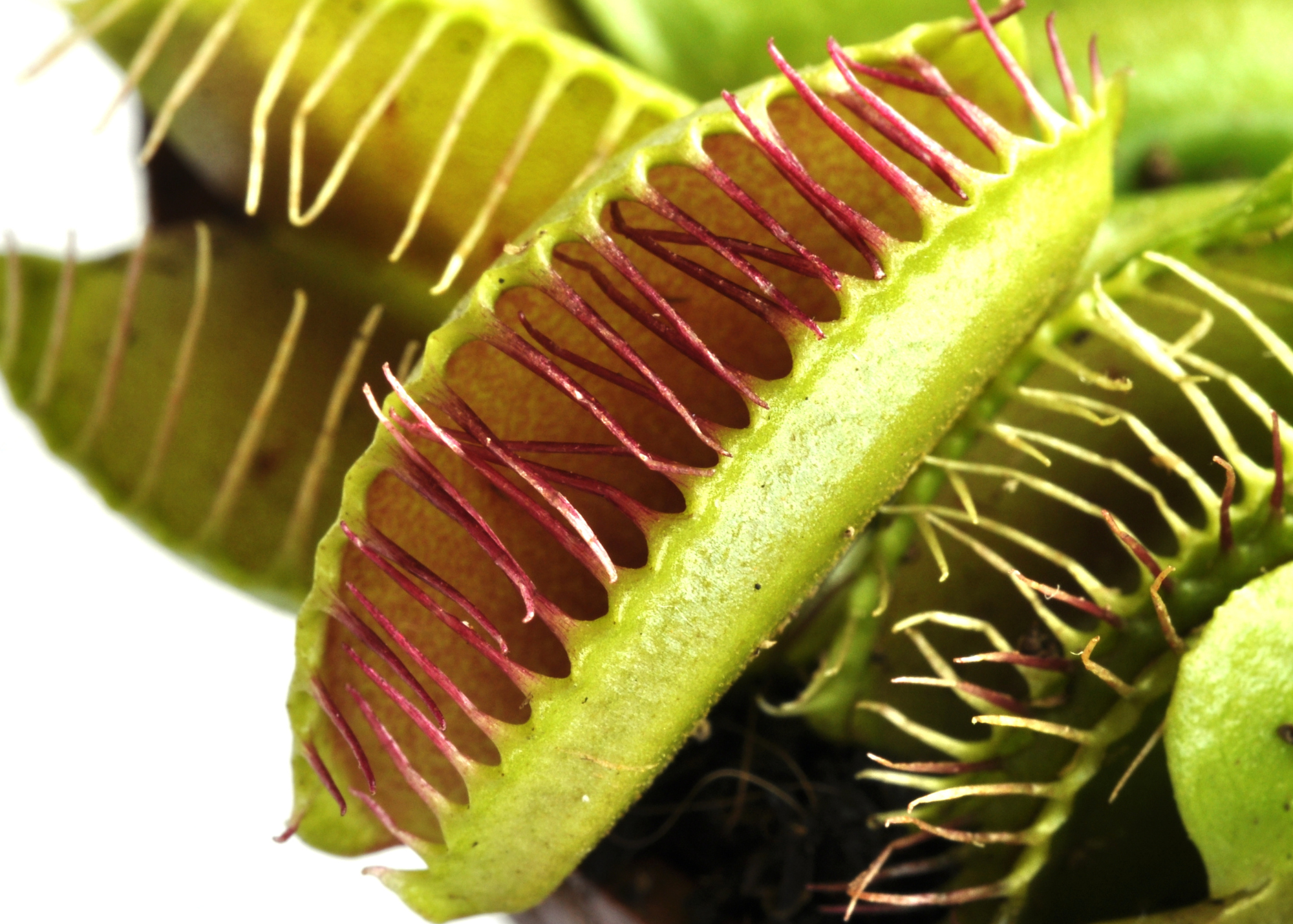 Tender Responses Traps That Can Catch You Out If You're Not On The Ball — TenderWise