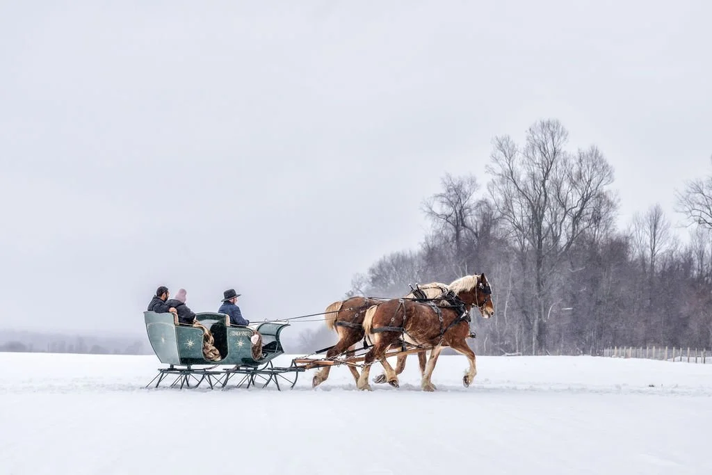 Sleigh & Carriage Rides — Ma & Pa's