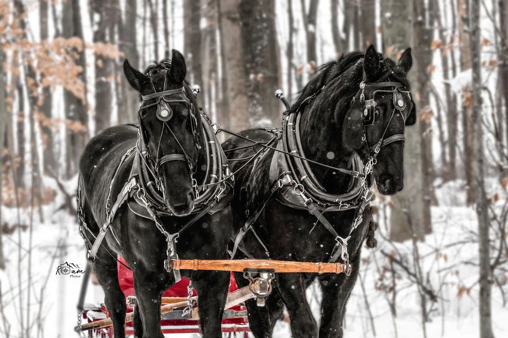 Sleigh & Carriage Rides — Ma & Pa's