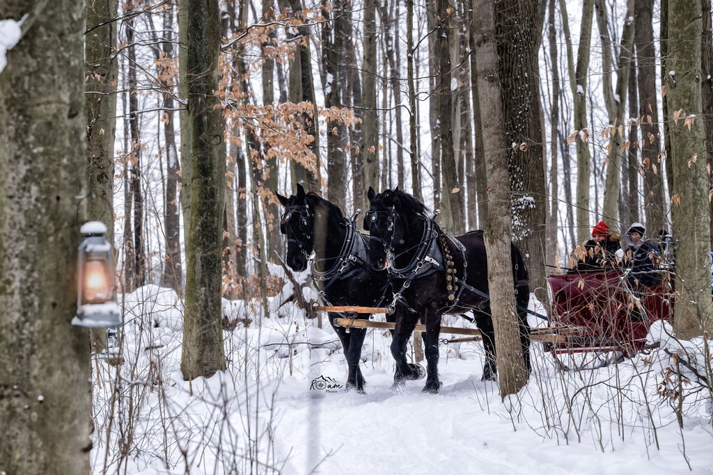 Sleigh & Carriage Rides — Ma & Pa's