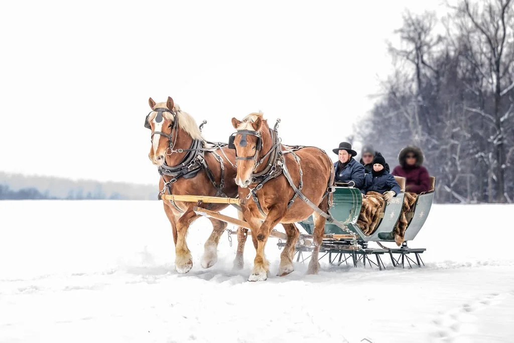 Sleigh & Carriage Rides — Ma & Pa's