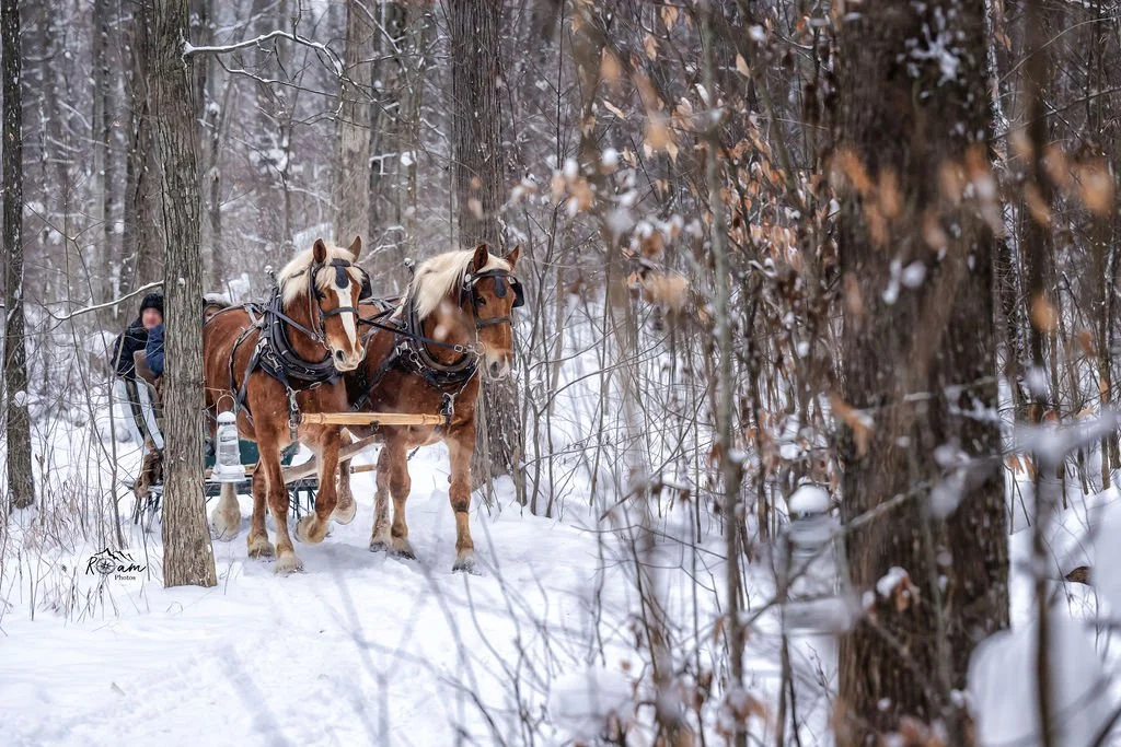 Sleigh & Carriage Rides — Ma & Pa's