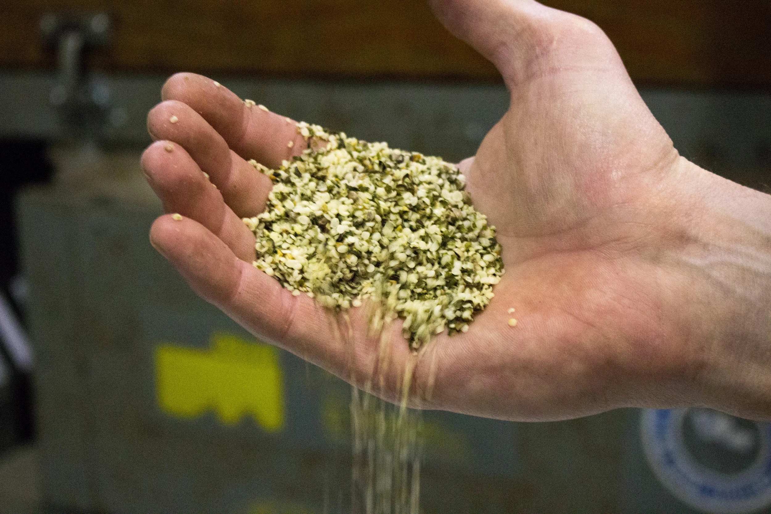 The Artisan Situation