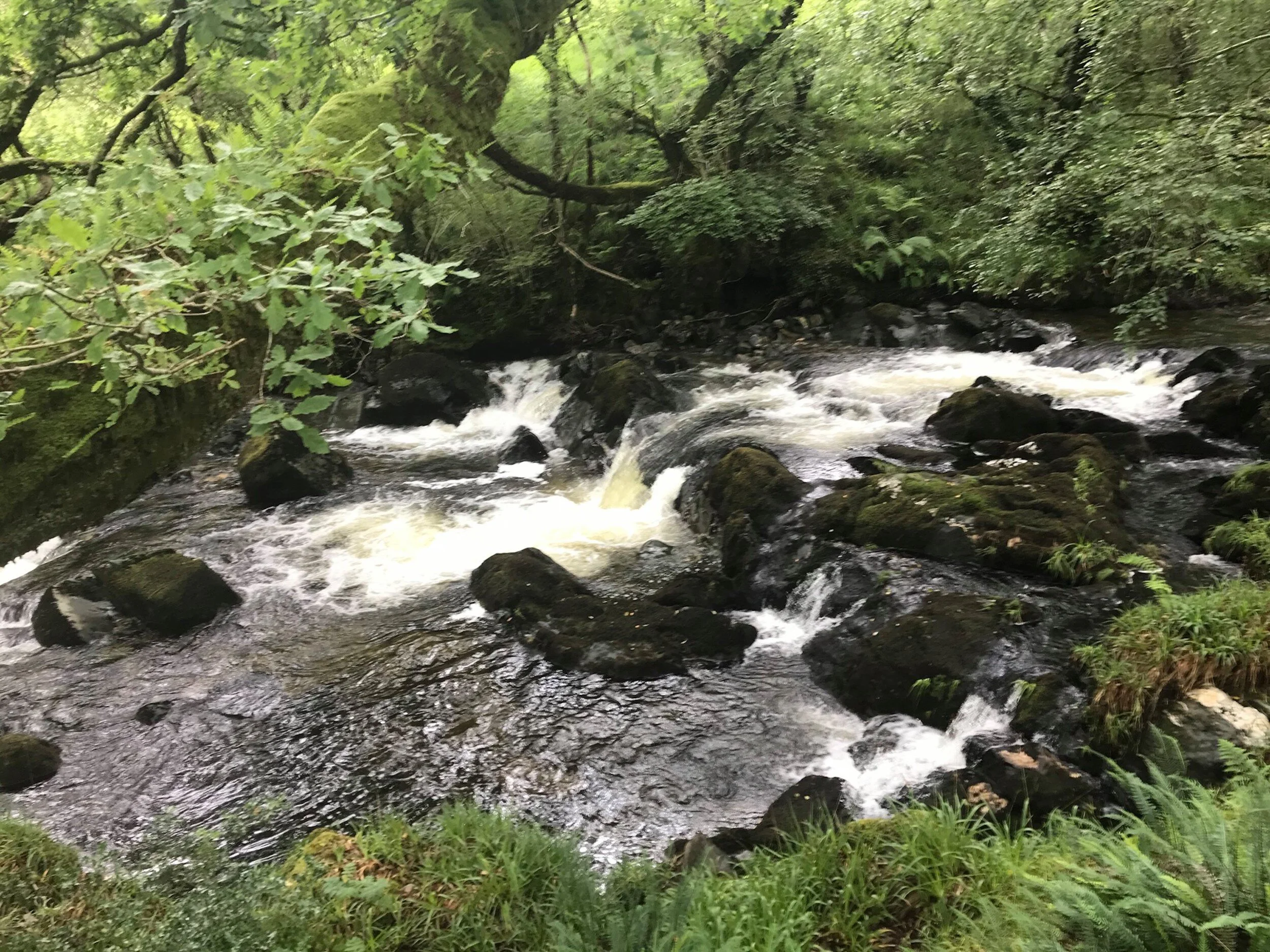 Gallery — Snowdonia Holiday Lodges