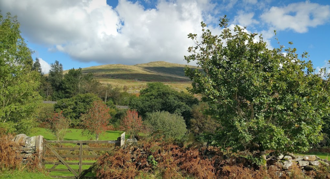 Gallery — Snowdonia Holiday Lodges