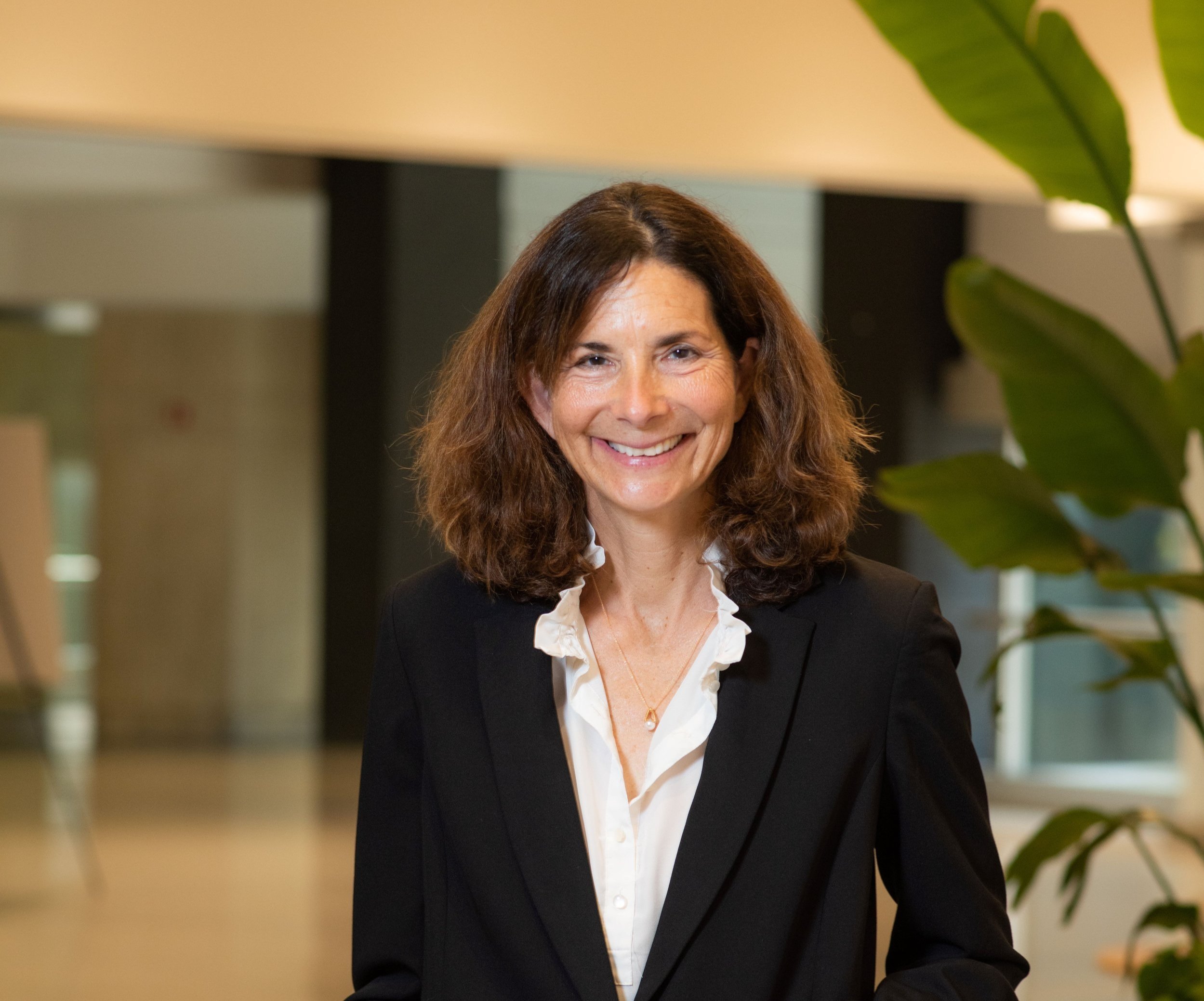 Our History & Mission — Volunteer Lawyers for Justice