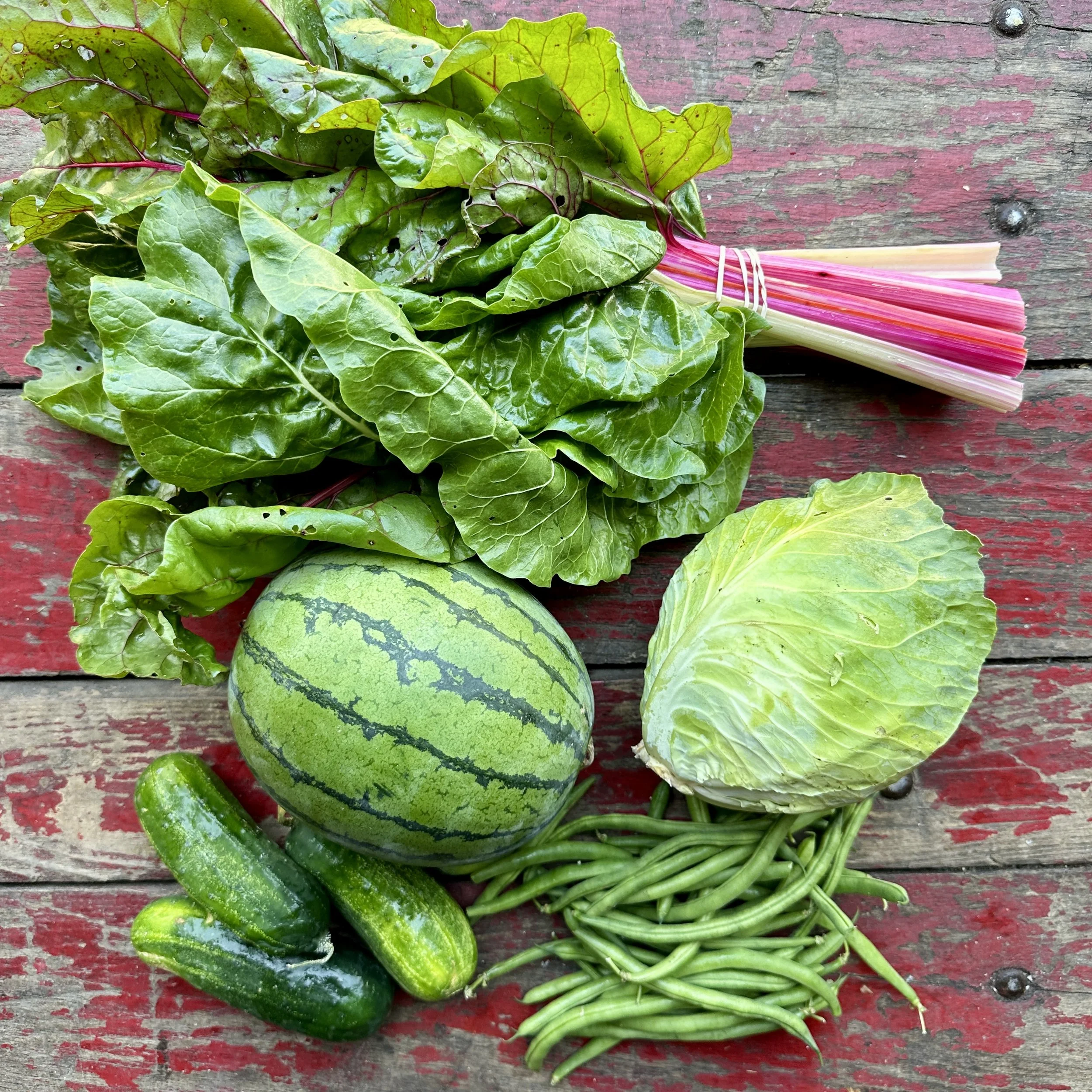 LUCSA 2024 - 8/14, 8/15 & 8/16 — The Urban Canopy