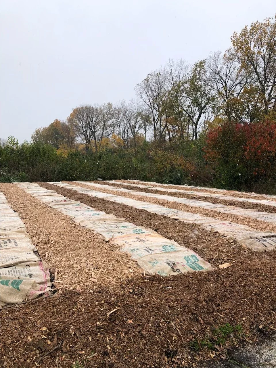 LUCSA Newsletter - The Urban Canopy — The Urban Canopy