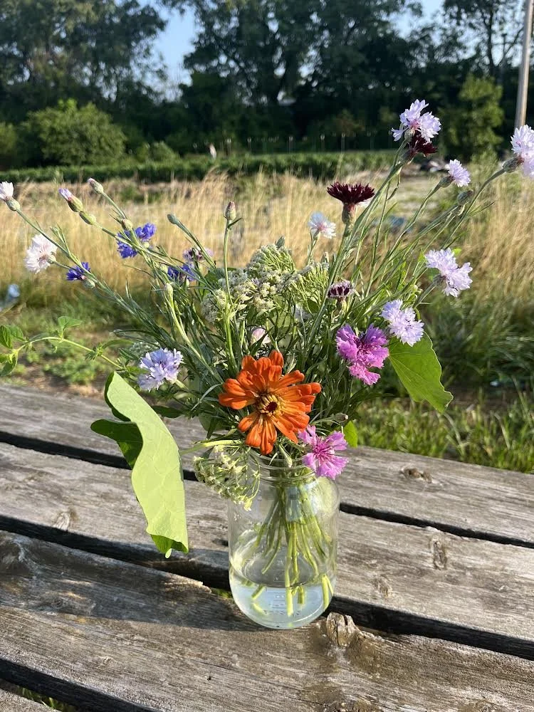 LUCSA 2024 - 8/14, 8/15 & 8/16 — The Urban Canopy