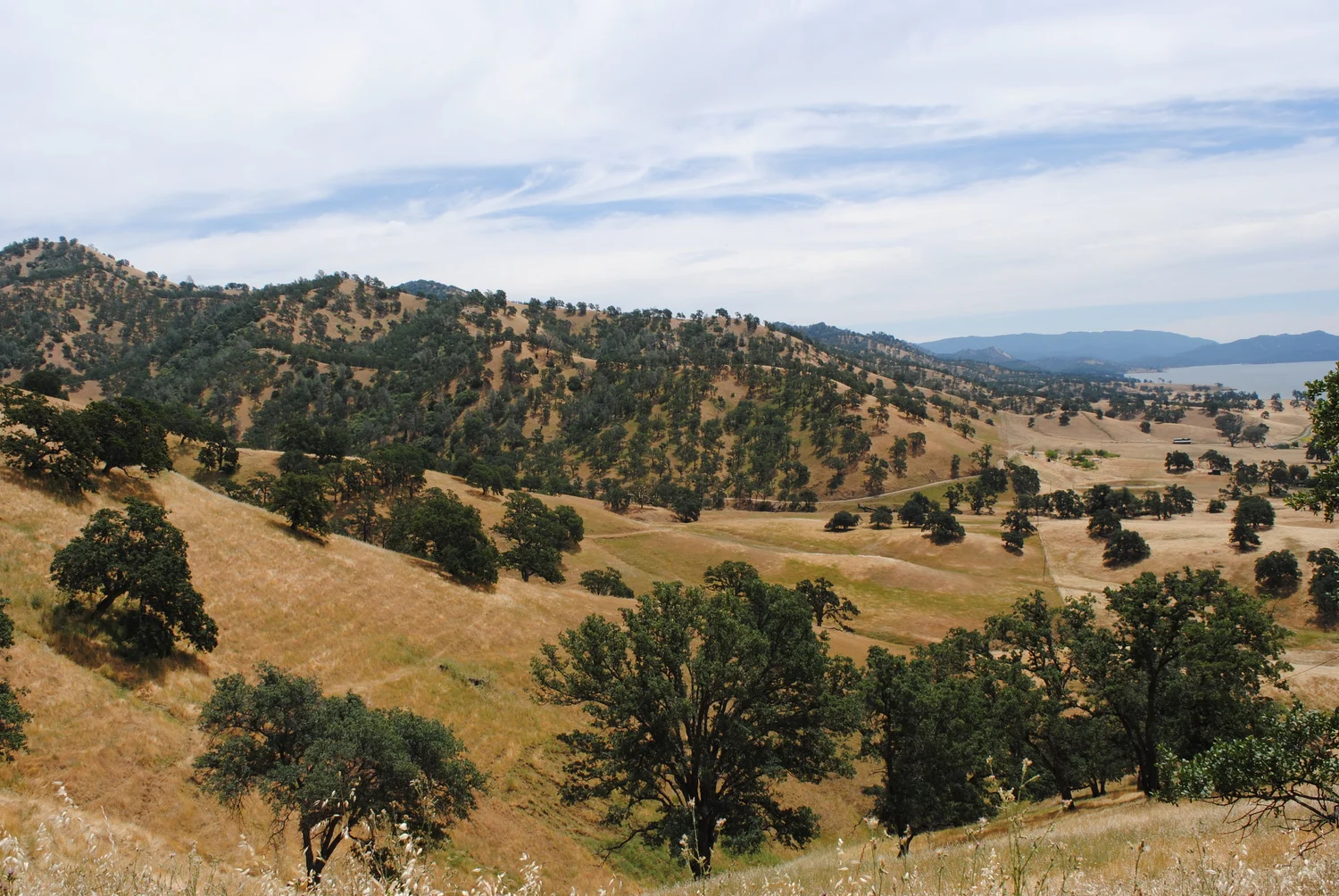 Funding for Land Conservancies — California Climate Investments